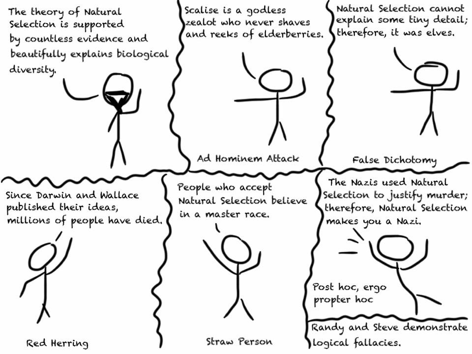 Thinking Fallacies